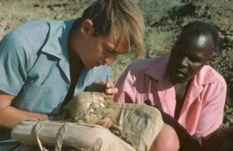 Turkana Boy: Kenya’s Eternal Ambassador | National Museums Of Kenya ...